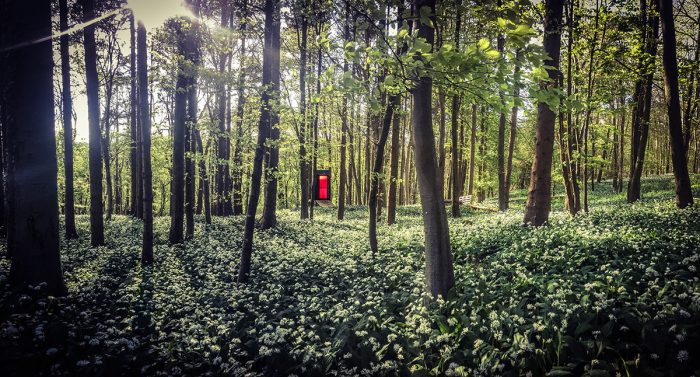 AMBIENTES | Longdrop & Trailer por Invisible Studio